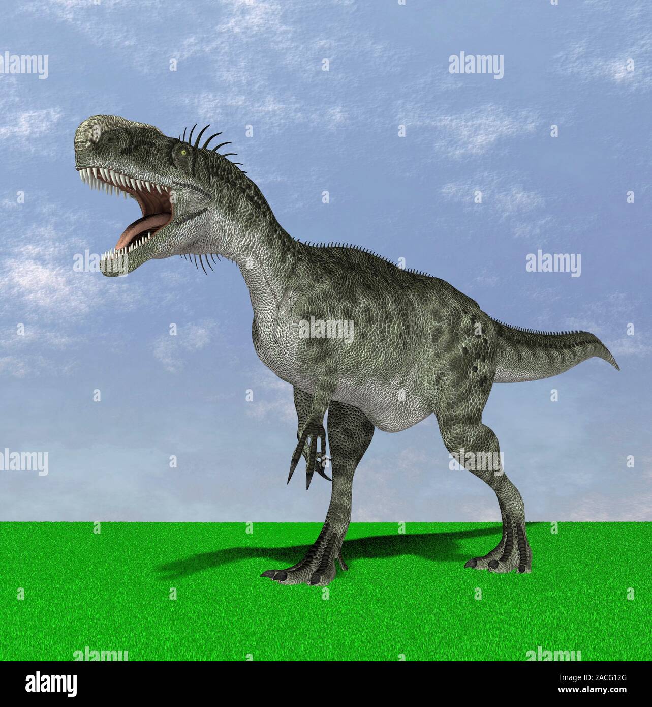 Monolophosaurus dinosaur. Computer artwork of a Monolophosaurus, a ...