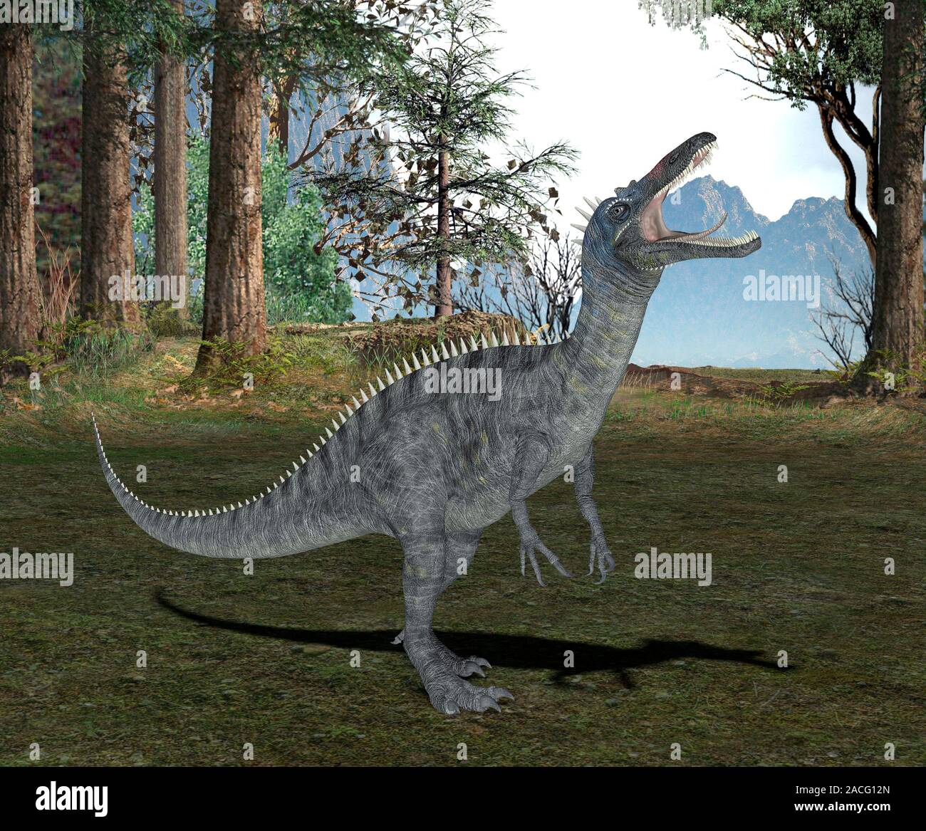 Suchomimus dinosaur, computer artwork. This bipedal spinosaurid ...