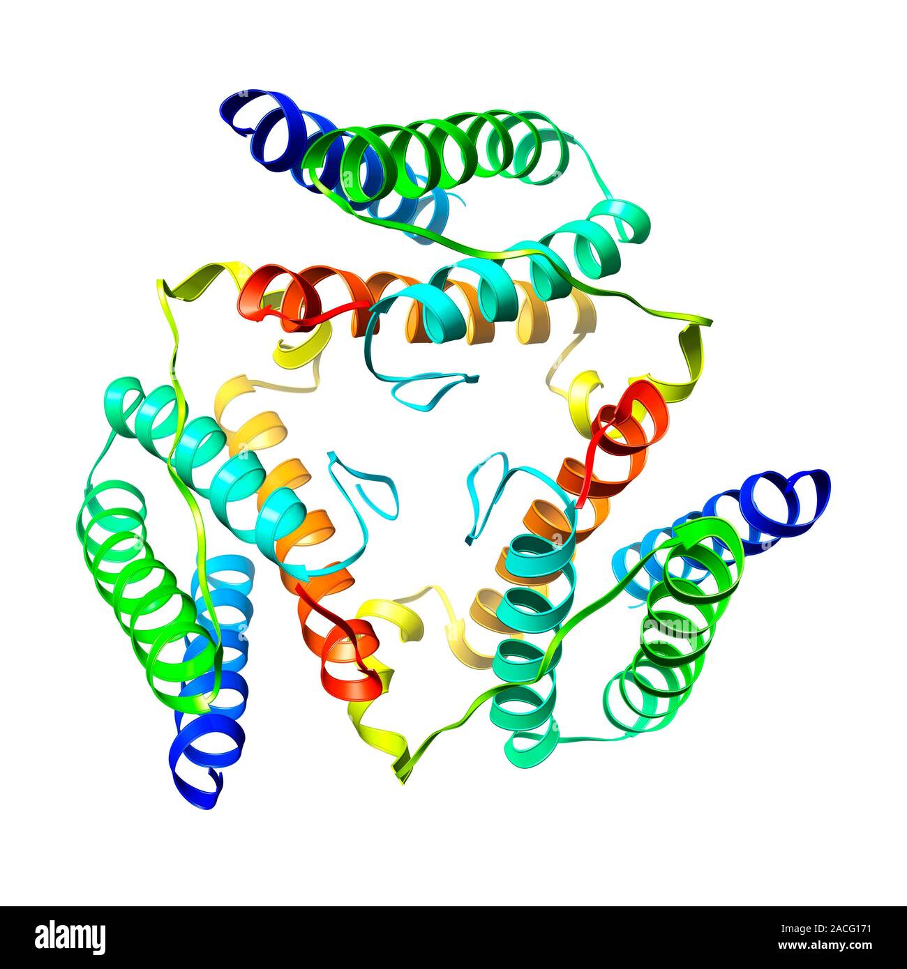 Leptin Hormone Molecule Computer Model Showing The Secondary Structure