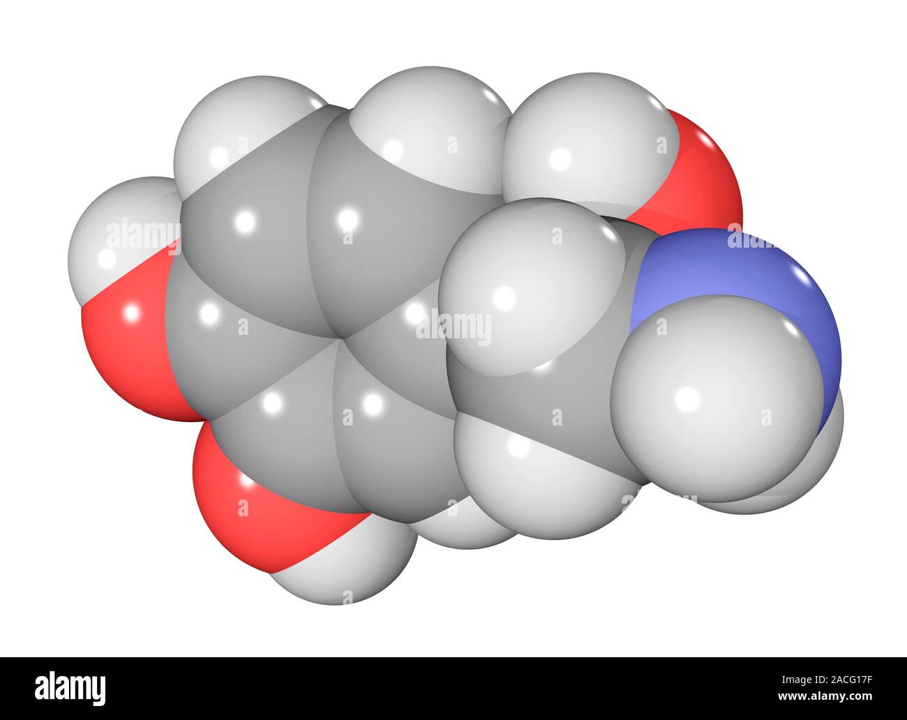 Norepinephrine neurotransmitter molecule. Computer model showing the ...