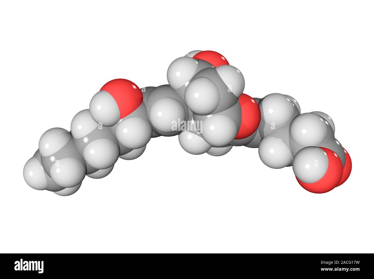 Prostacyclin molecule. Computer model showing the structure of the ...