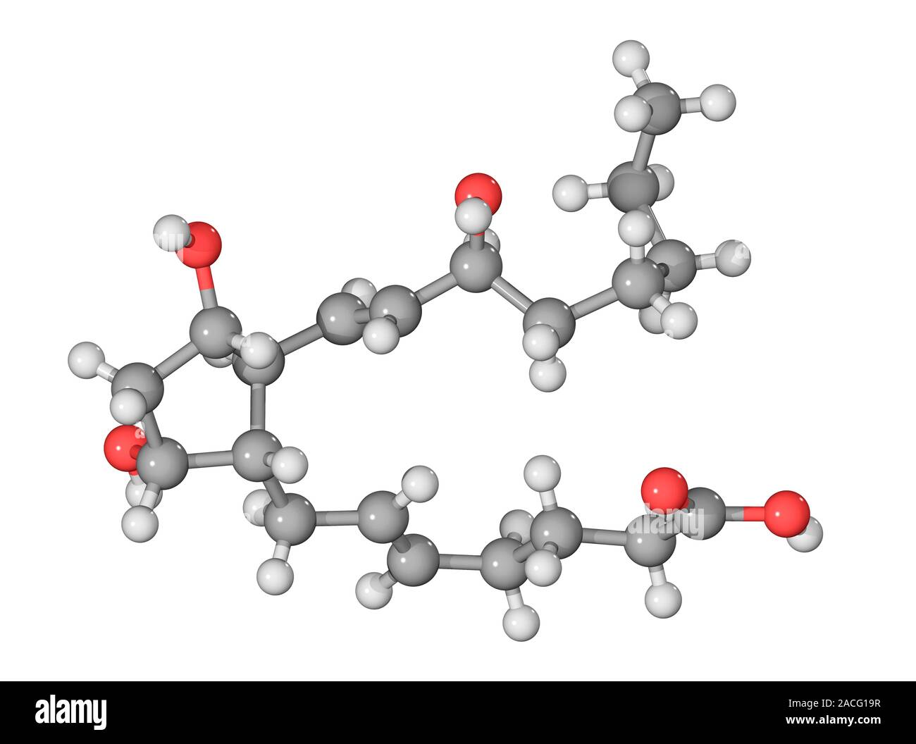 Prostaglandin F2a molecule. Computer model showing the structure of the ...