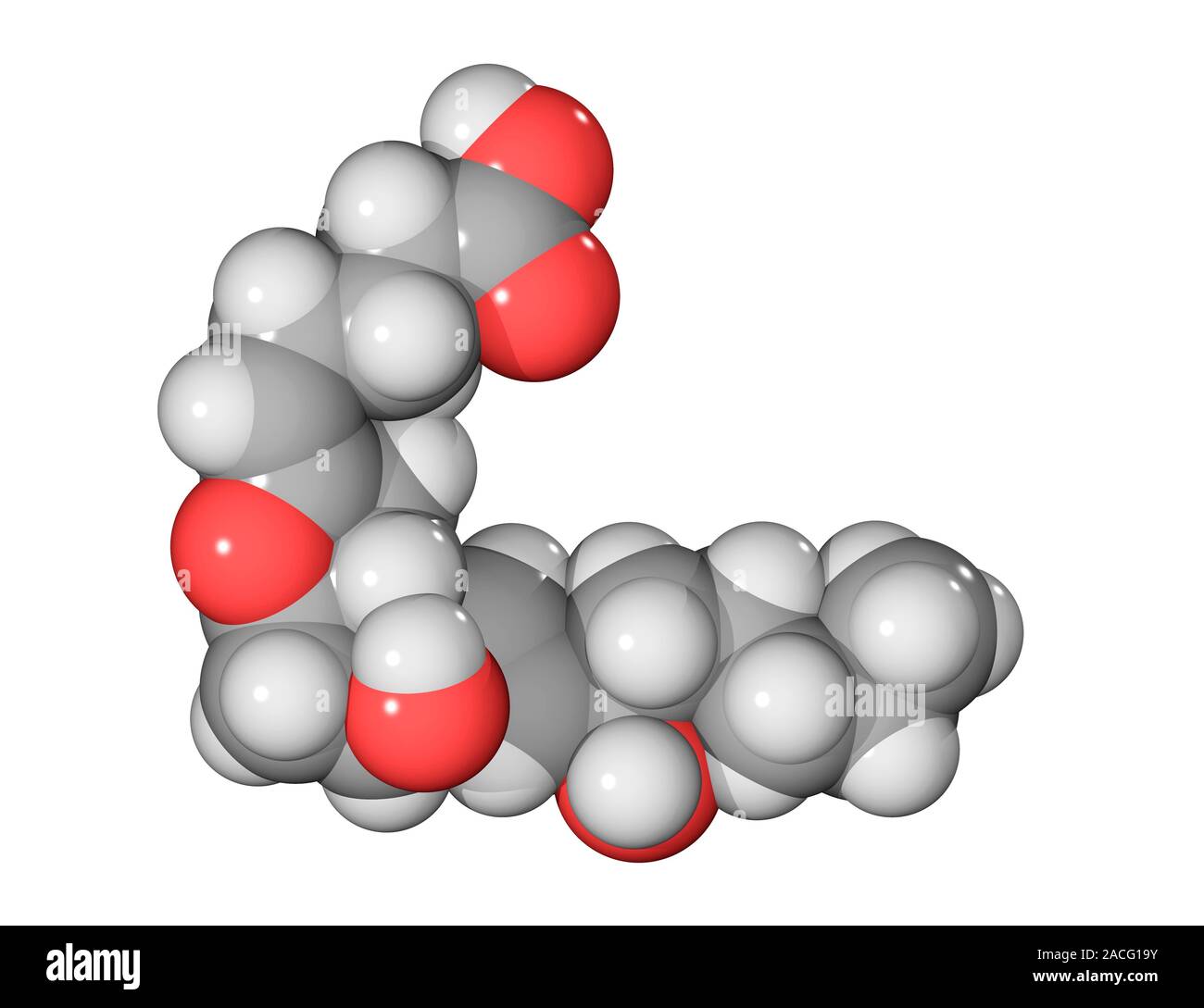 Prostacyclin molecule. Computer model showing the structure of the ...