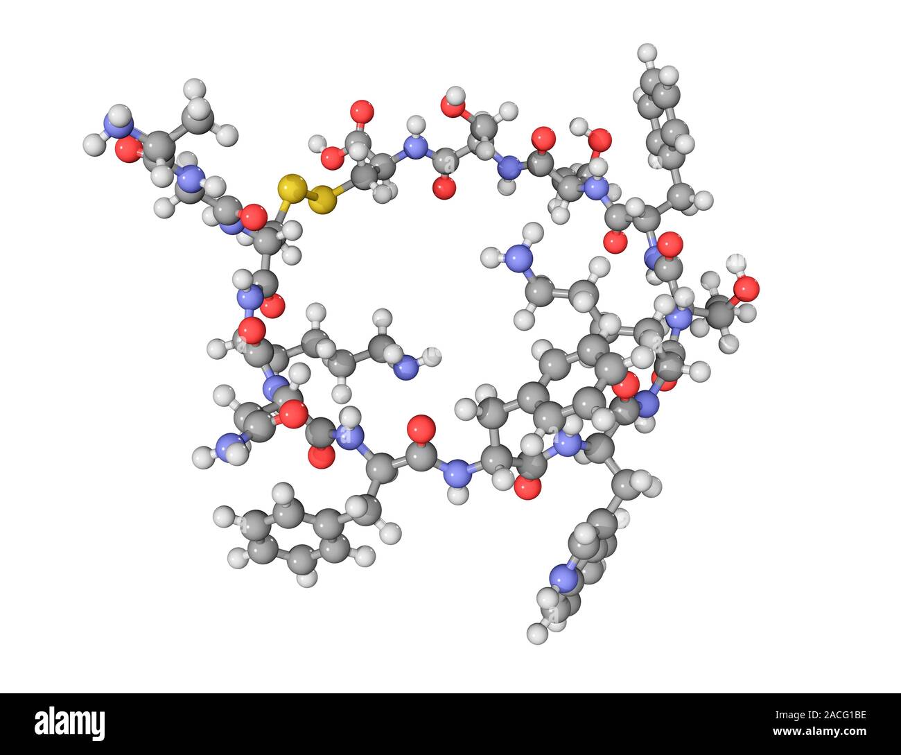 Somatostatin hormone molecule. Computer model showing the structure of ...