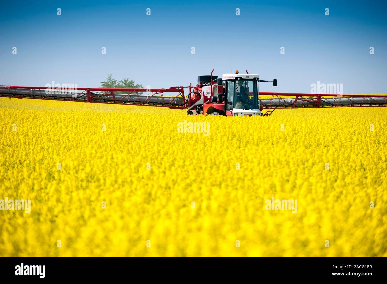 Crop spraying. Pesticides being applied to crops in a field by a crop ...