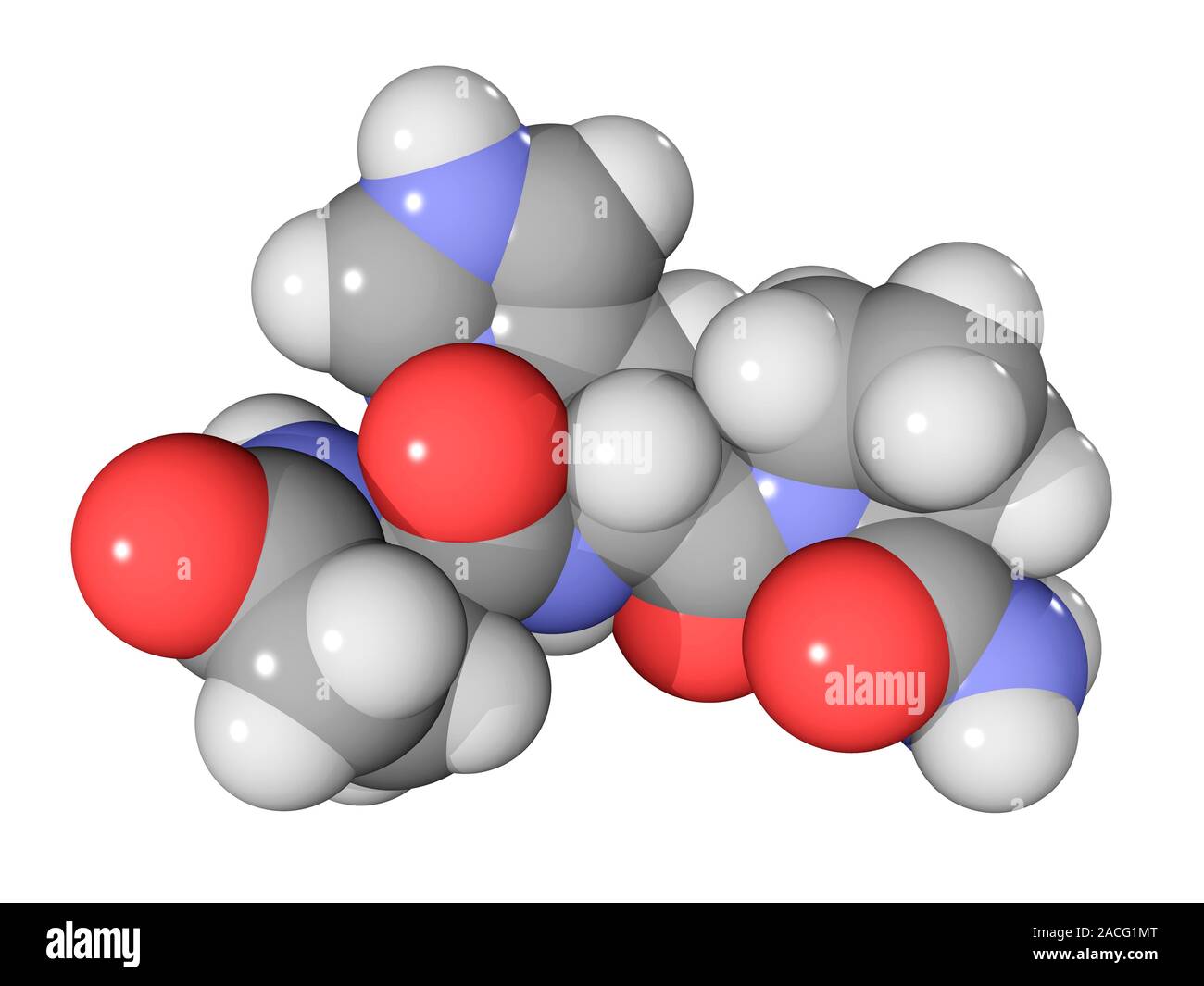 Thyrotrophin Releasing Hormone Molecule Computer Model Showing The Structure Of Thyrotrophin