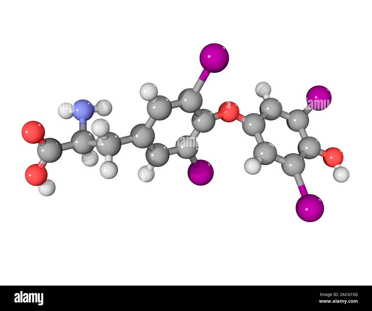 Thyroxine Hormone Molecule Computer Model Showing The Structure Of The Hormone Thyroxine T4
