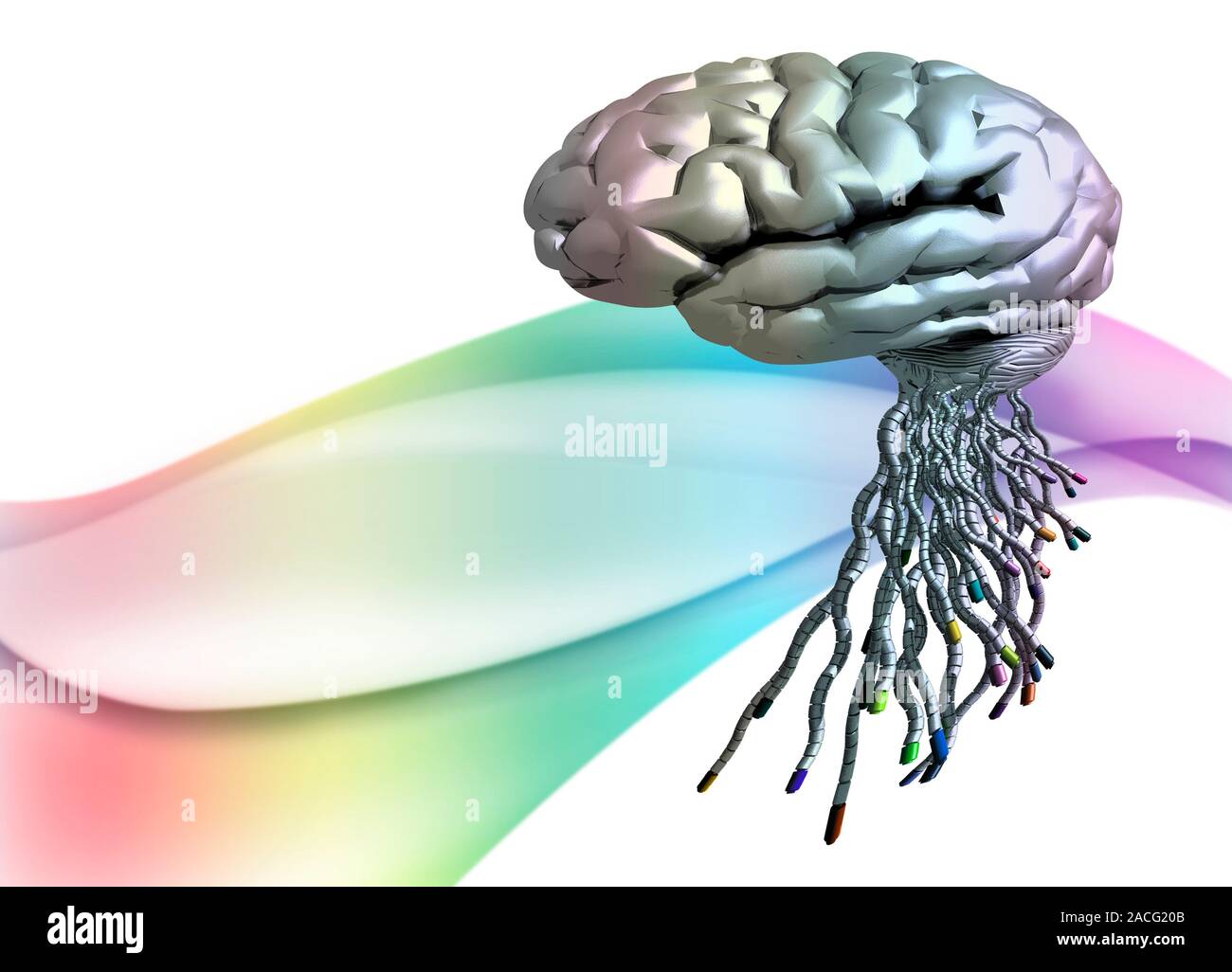 Cyborg brain. Computer artwork of a human brain with robotic implants ...