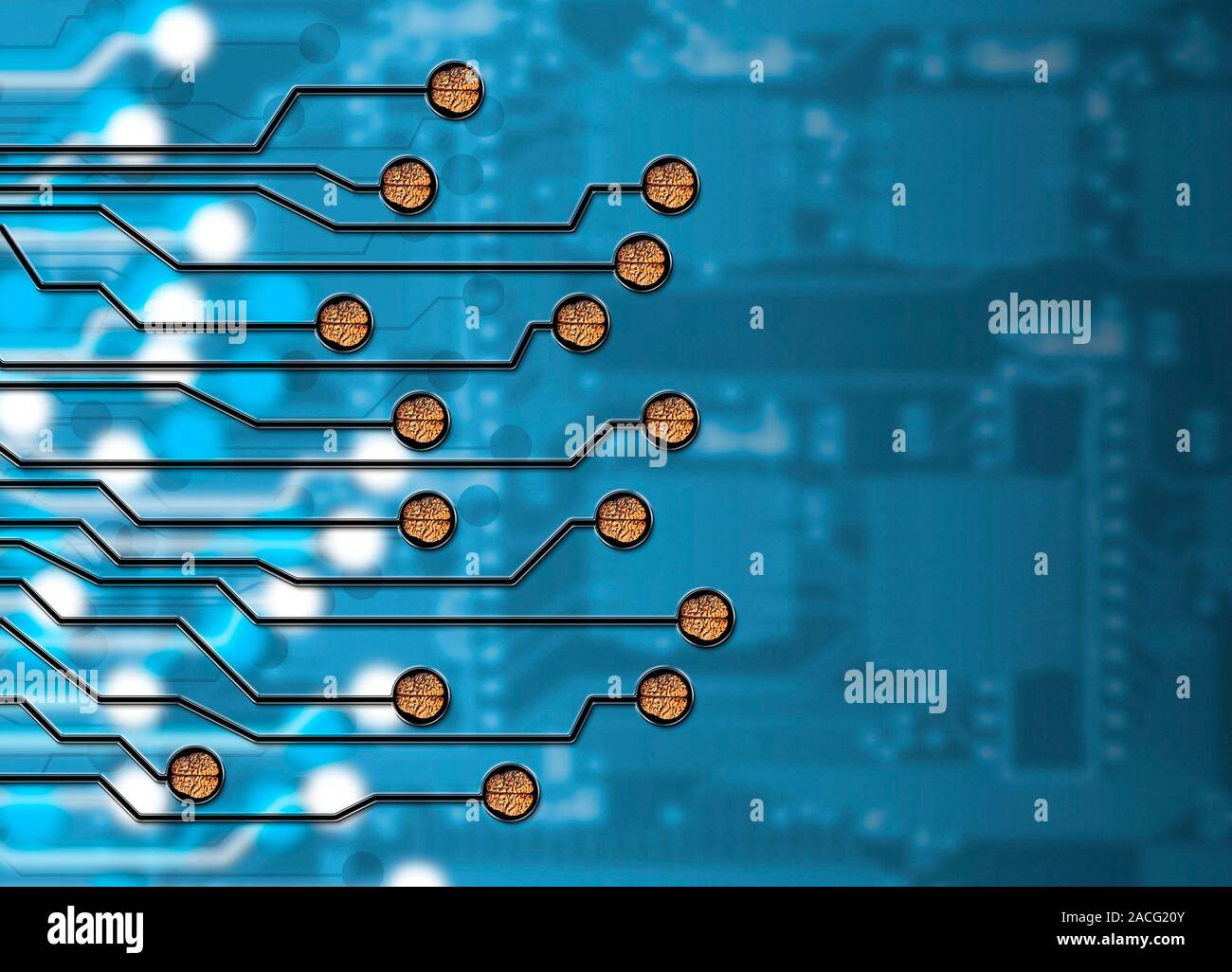 Brain-computer interface, conceptual computer artwork. Printed circuit ...