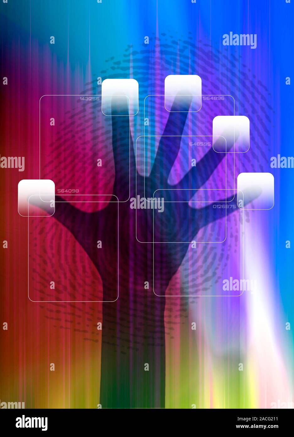 Security scanning technology, computer artwork. Silhouette of a human ...