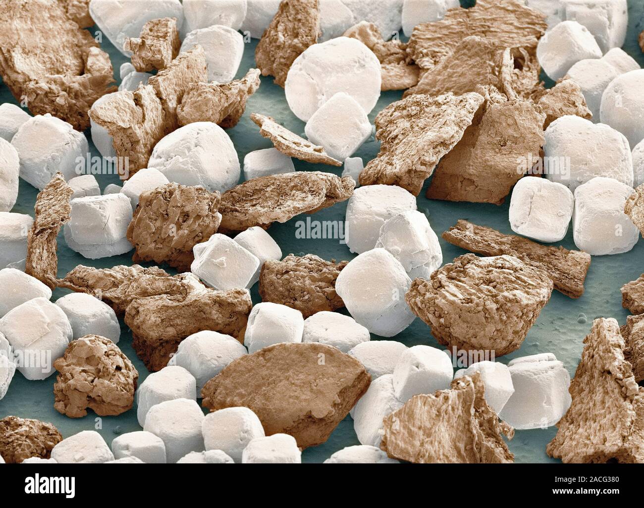 Salt grains and ground peppercorn, coloured scanning electron ...