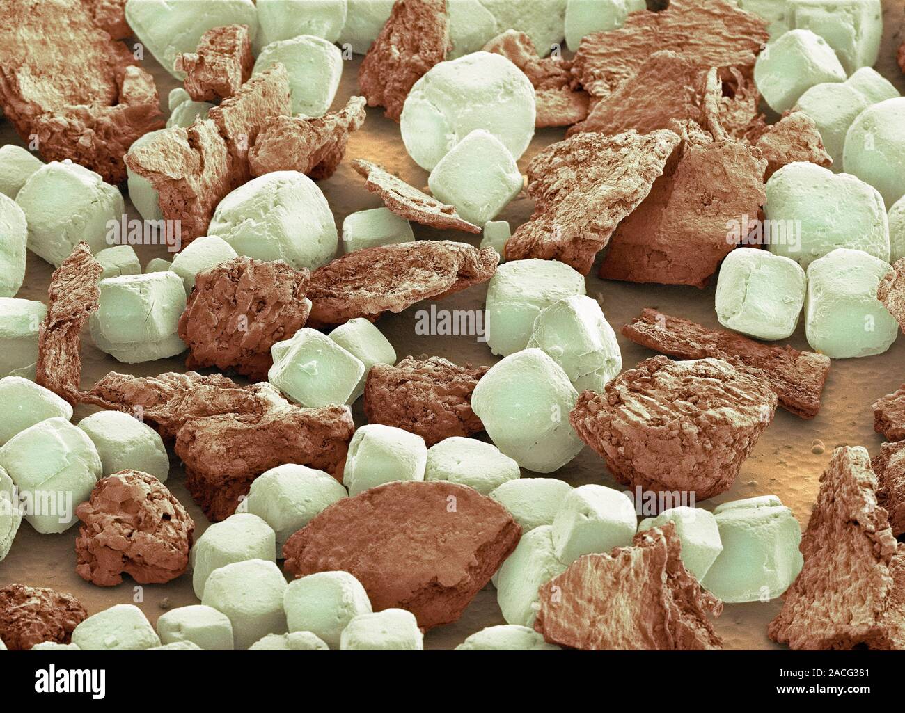 Salt grains and ground peppercorn, coloured scanning electron ...