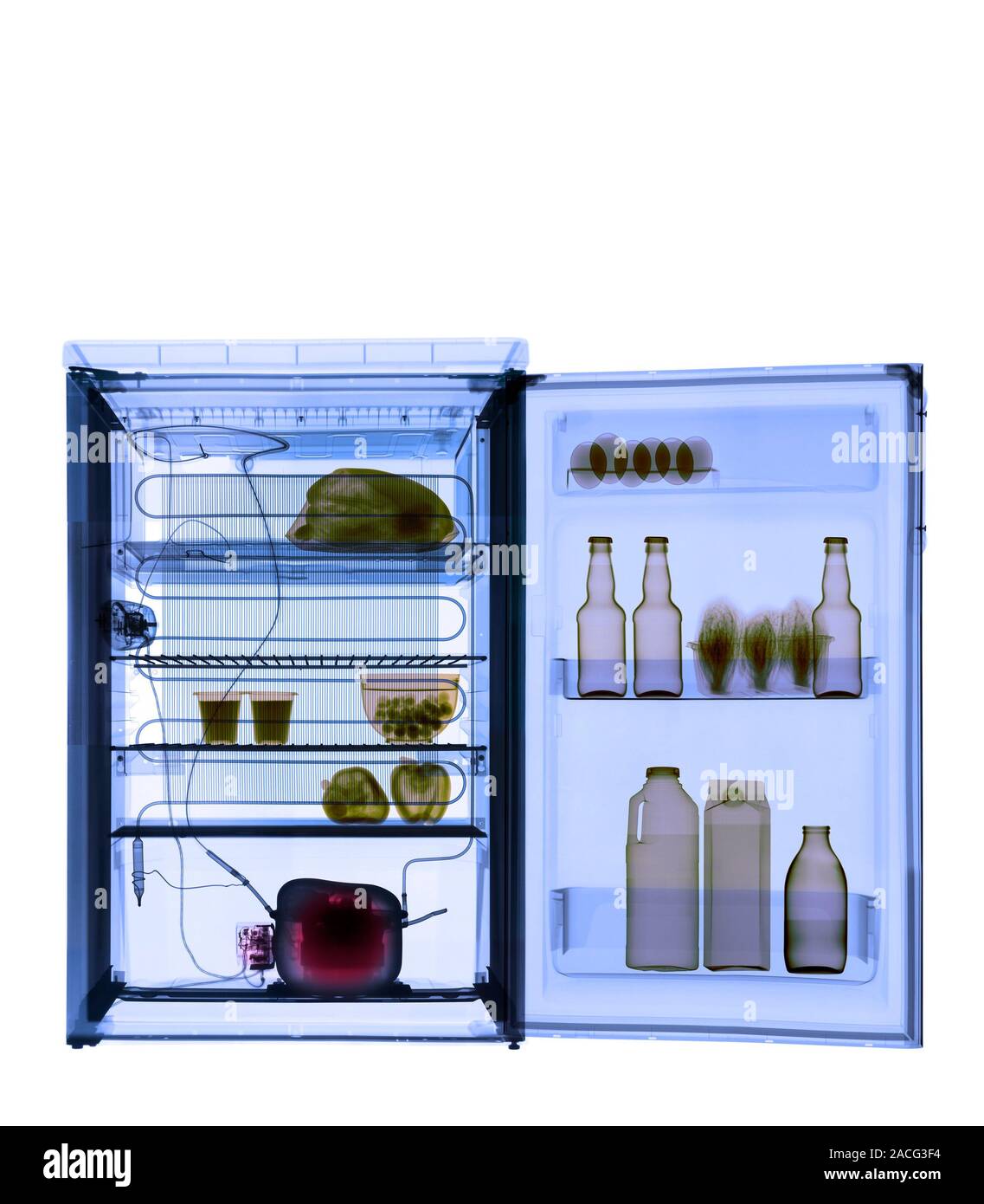 Fridge. Coloured X-ray of an open fridge and its contents Stock Photo ...