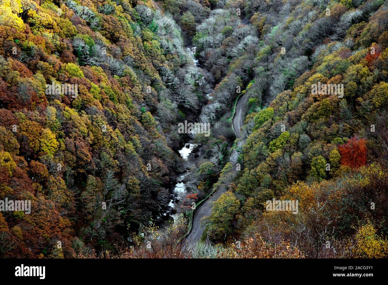 Lynmouth Valley in autumn. The valley of the river Lyn near Lymouth ...