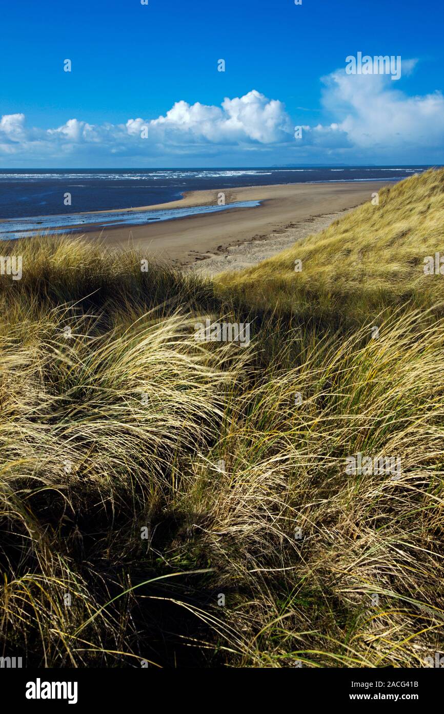 Taw-Torridge Estuary, Devon, England. This is the estuary of the rivers ...
