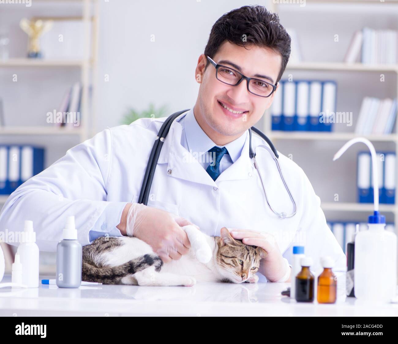 The cat visiting vet for regular check up Stock Photo - Alamy