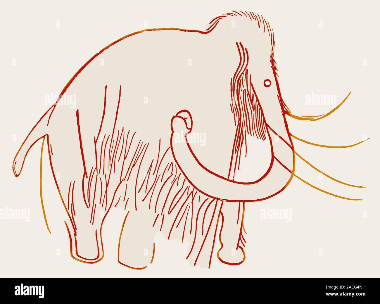 Cave painting of a mammoth. Artwork of a prehistoric cave drawing from ...