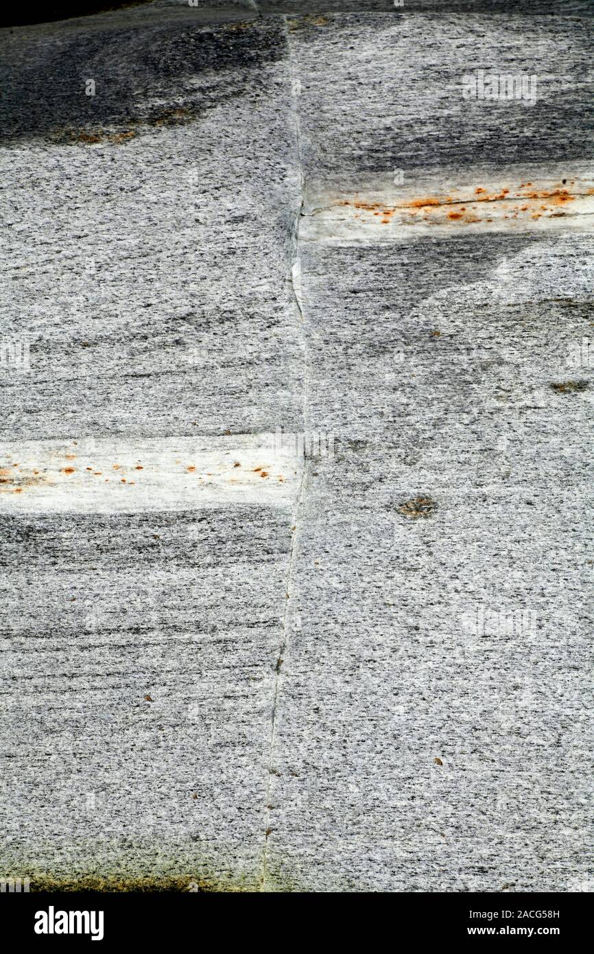 Fractured pegmatite intrusion. Close-up of a pegmatite (white band ...