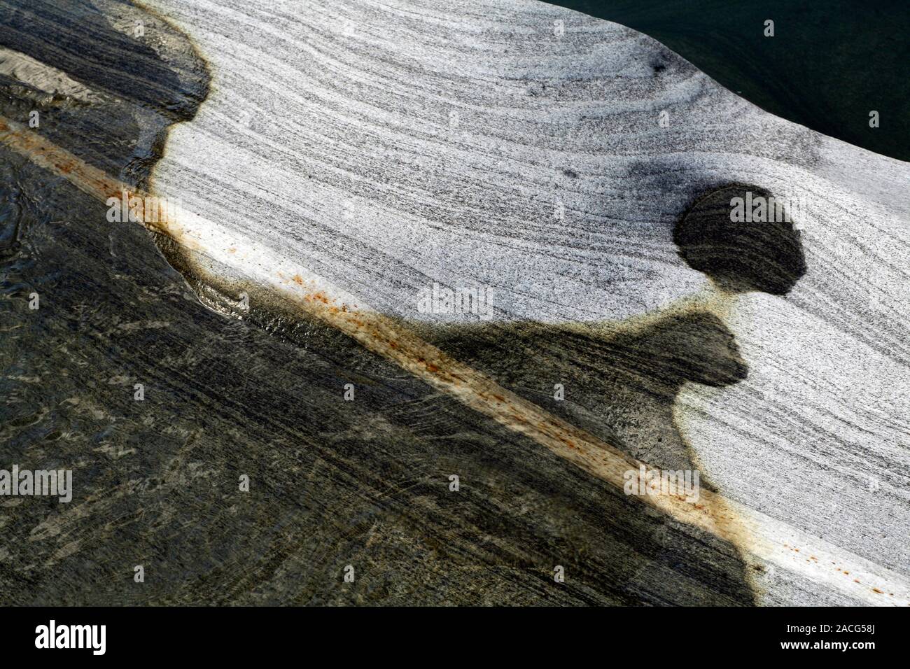 Pegmatite intrusion, partially submerged under water. Pegmatite (white ...