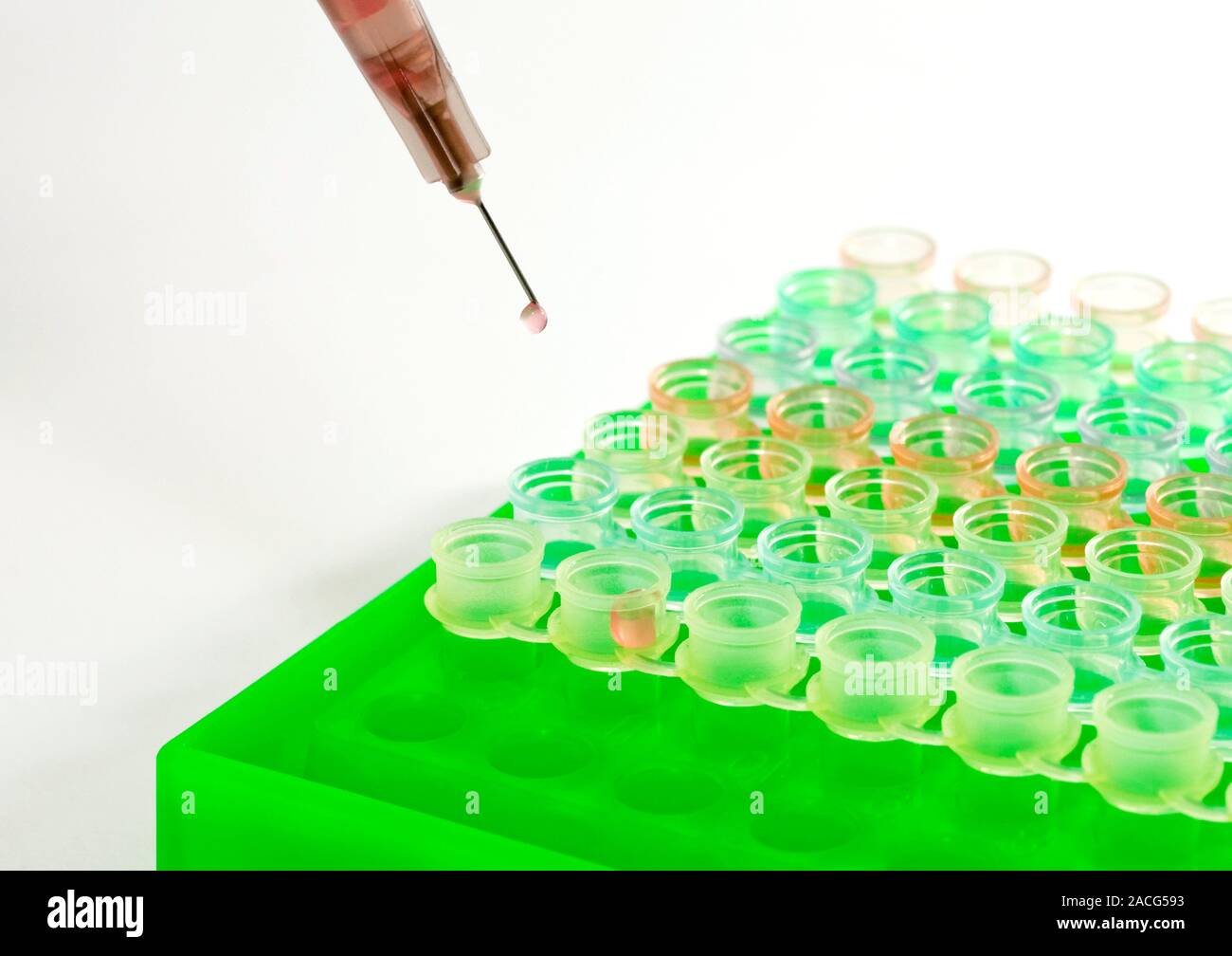 Multiwell sample tray. Close-up of a drop of liquid being pipetted into ...