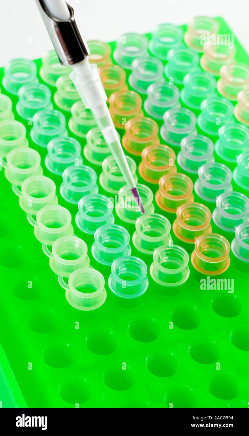 Multiwell sample tray. Close-up of a pipette being used to fill a multi ...