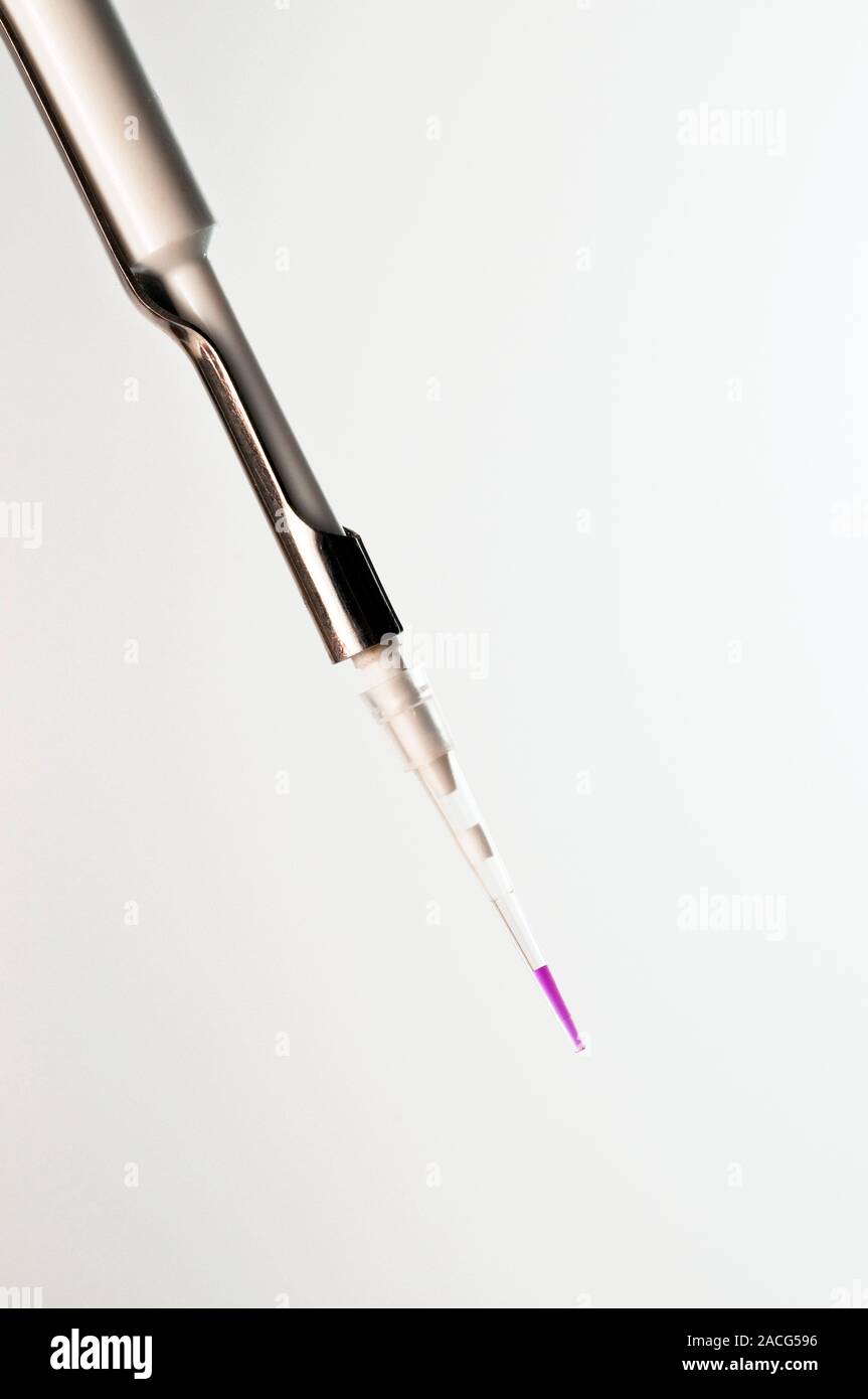 Pipette. Fine-tipped pipette used in assay techniques Stock Photo - Alamy
