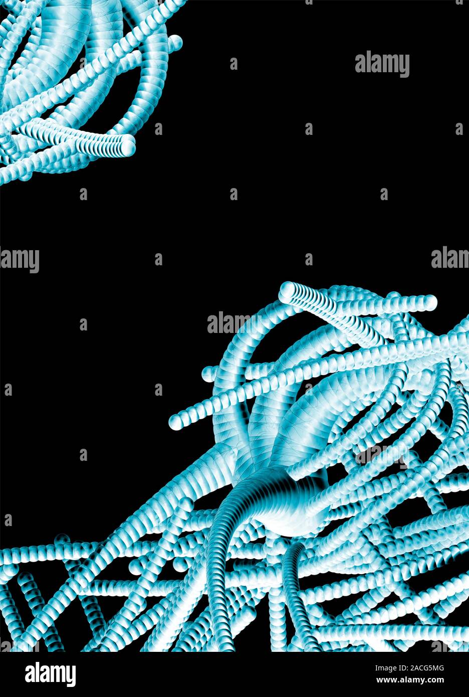 Nanorobots, conceptual image. Computer artwork of a matrix of long ...