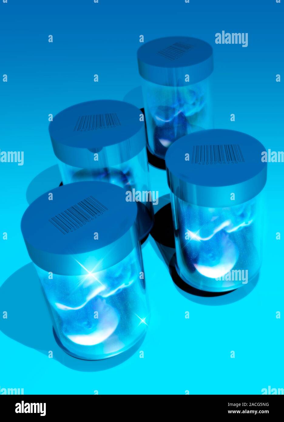 Human cloning, conceptual image. Computer artwork showing human ...