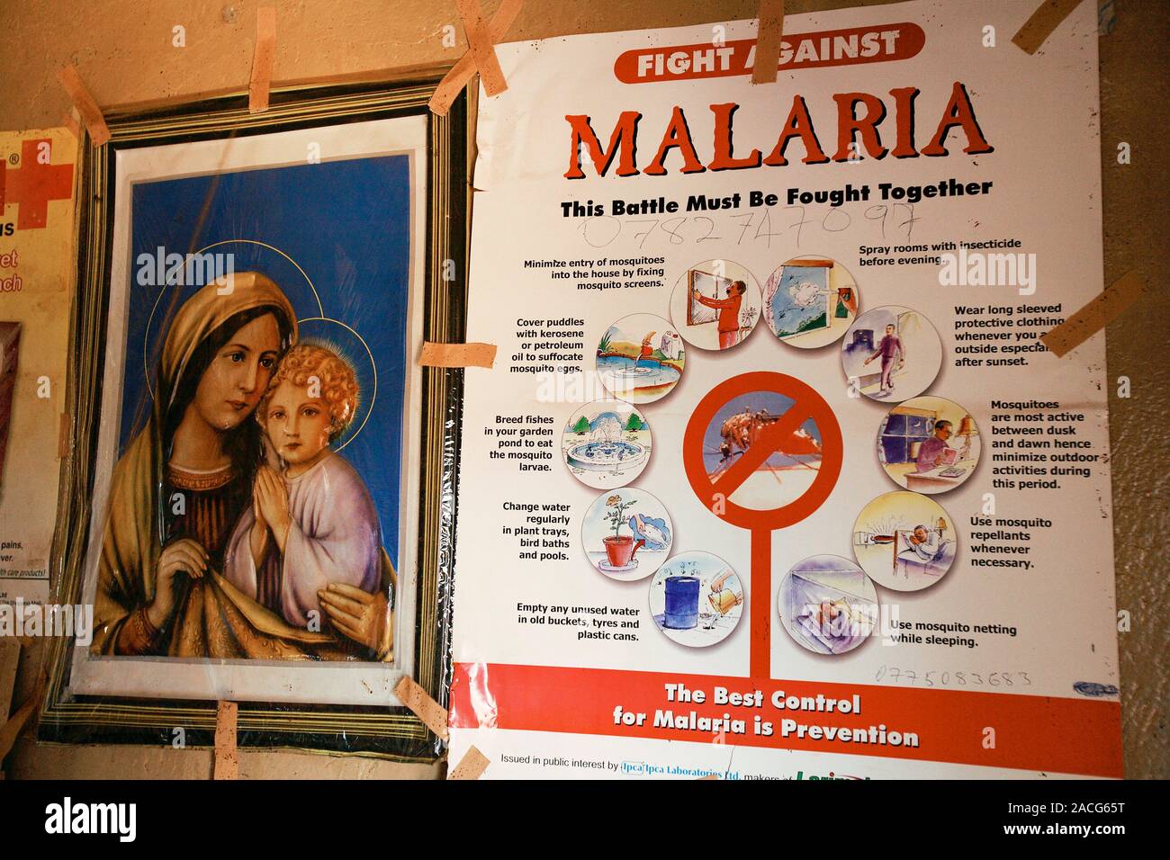 Malaria educational poster. Malaria is a severe disease caused by ...