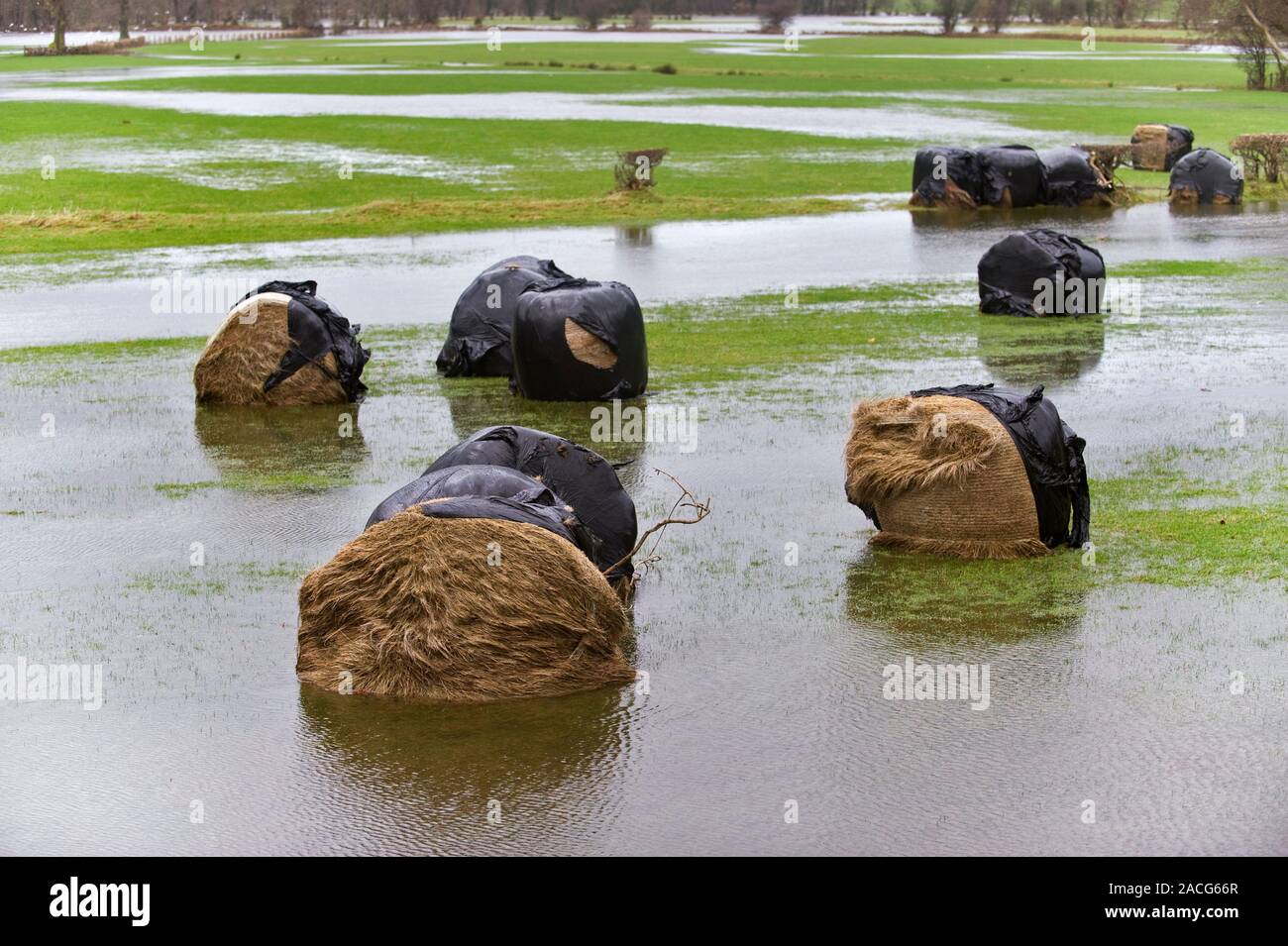 Severe flooding. Silage bales on farmland flooded during the worst ...