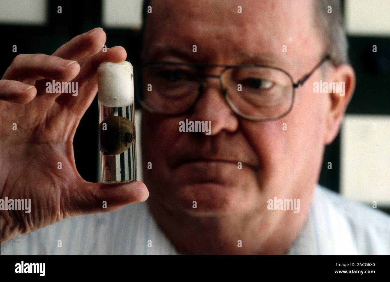 Biggest tick in the world. Scientist holding a jar with the preserved ...