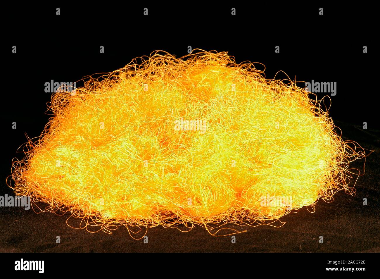 Producing spider silk from plants. Bundle of spider silk fibres ...