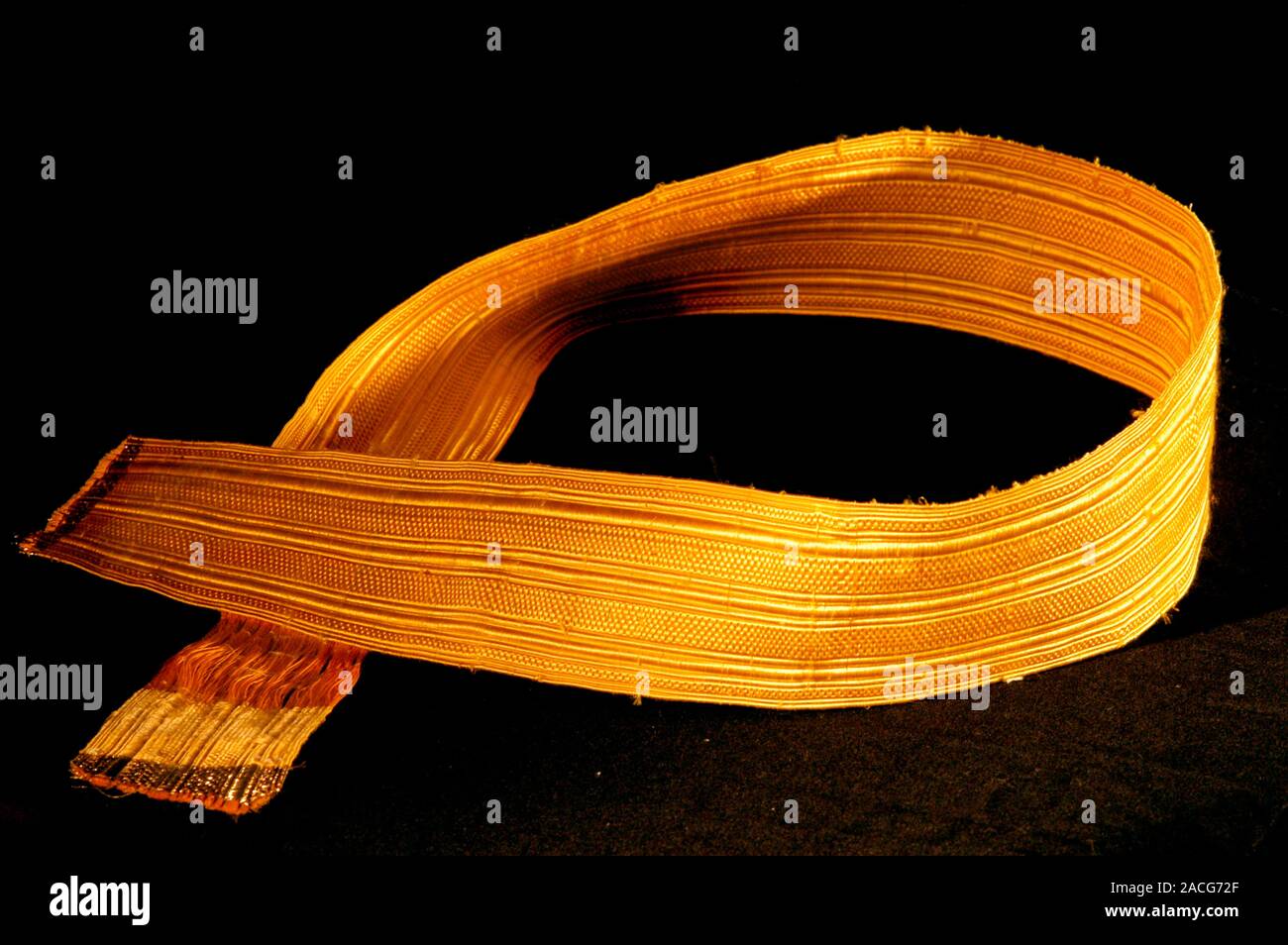 Spider silk belt. Belt made entirely out of woven spider silk produced ... Spider silk belt. Belt made entirely out of woven spider silk produced ...