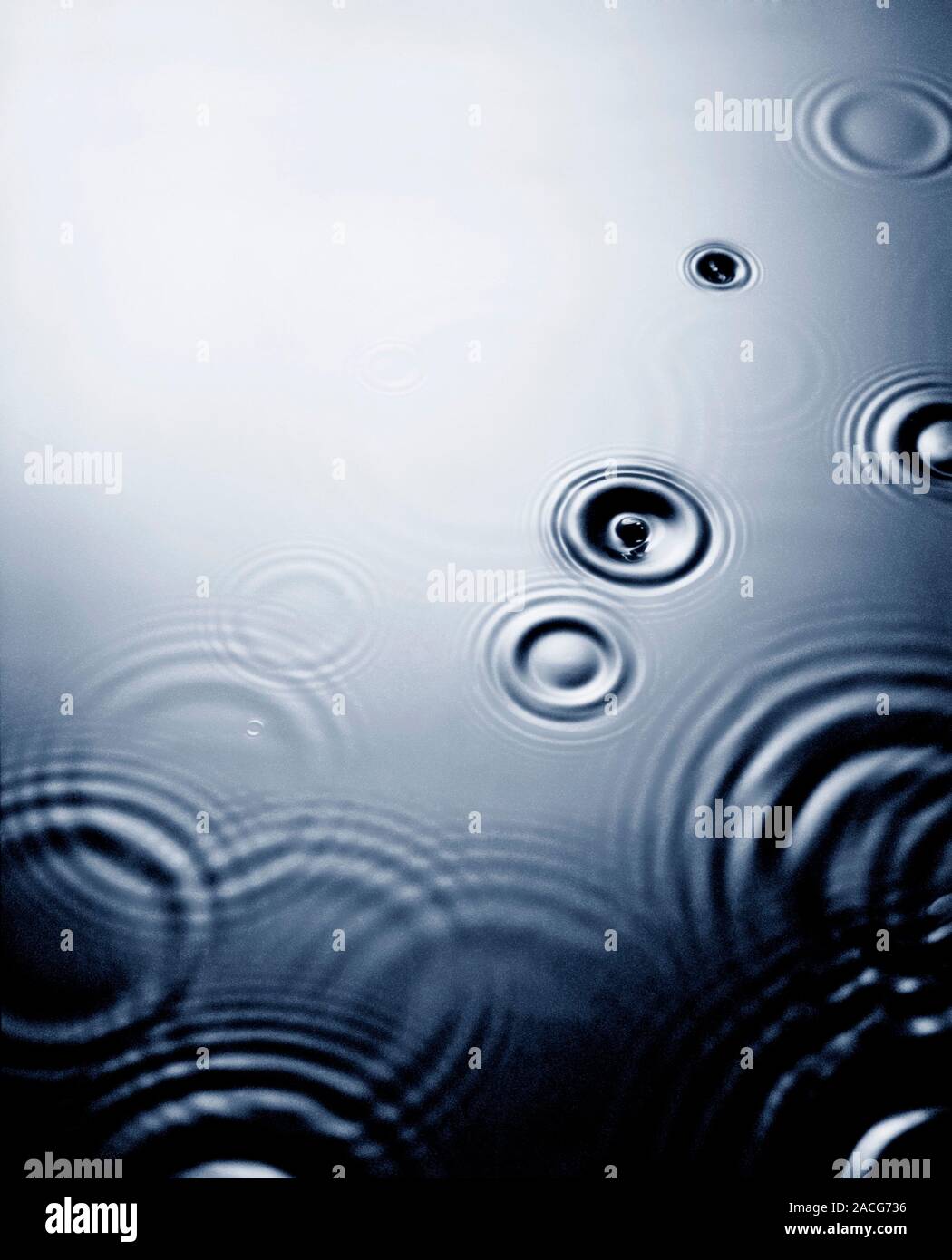 Rain on water. Raindrops falling on the surface of water Stock Photo ...