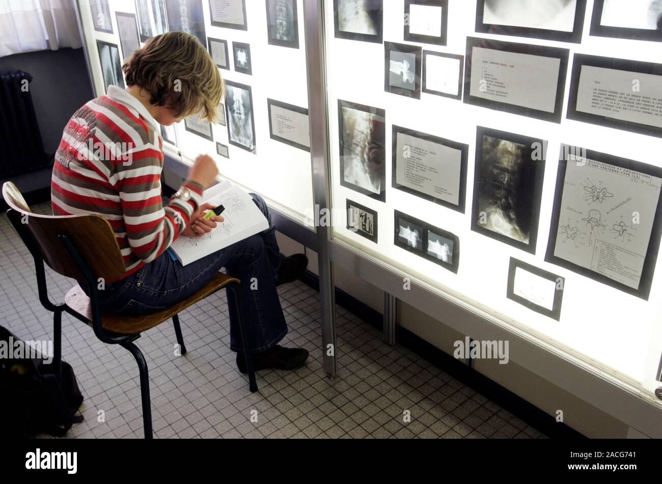 Medical studies. Medical student studying from a book in front of an ...