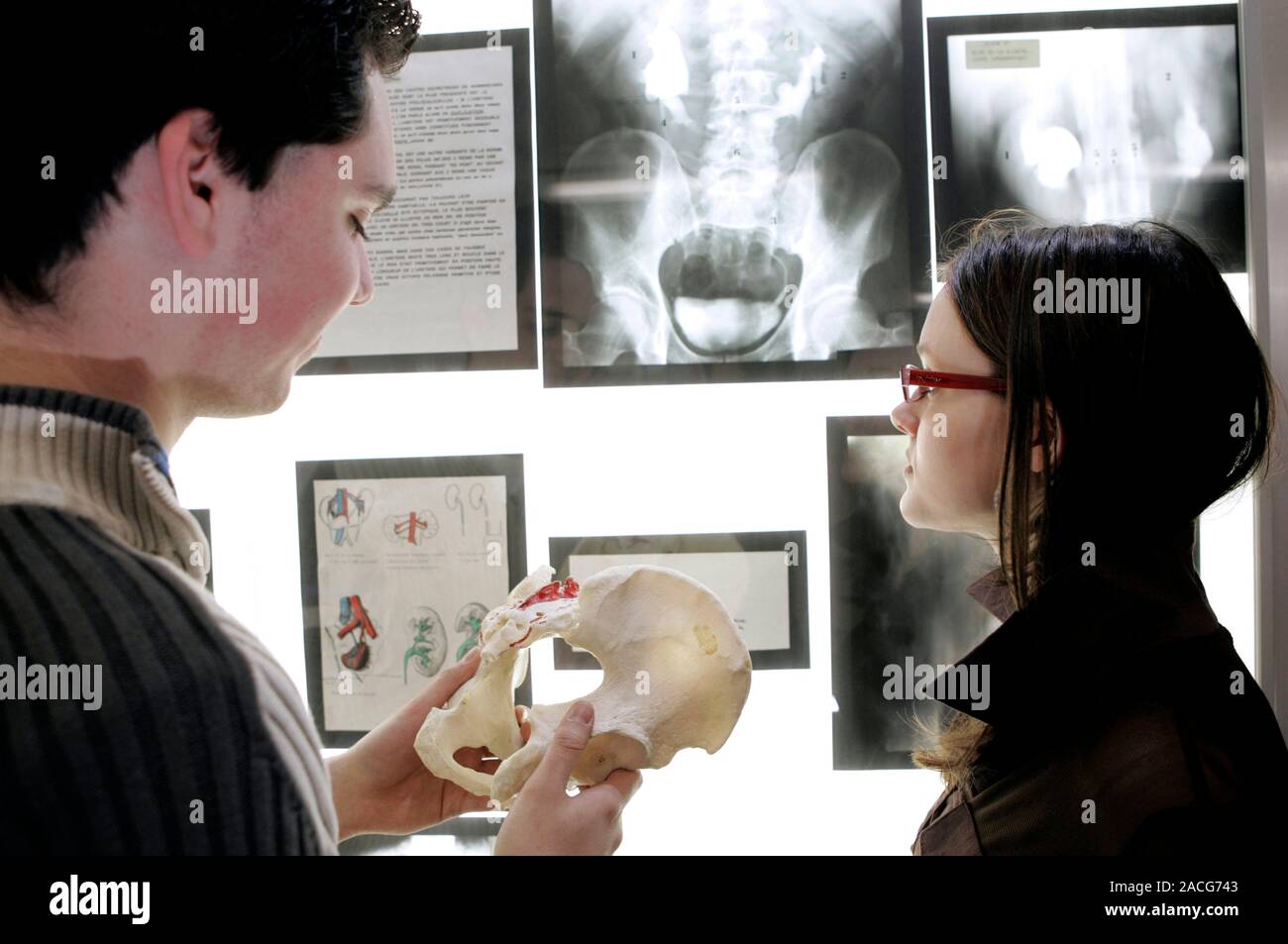 Medical studies. Medical students holding a section of a model of a ...