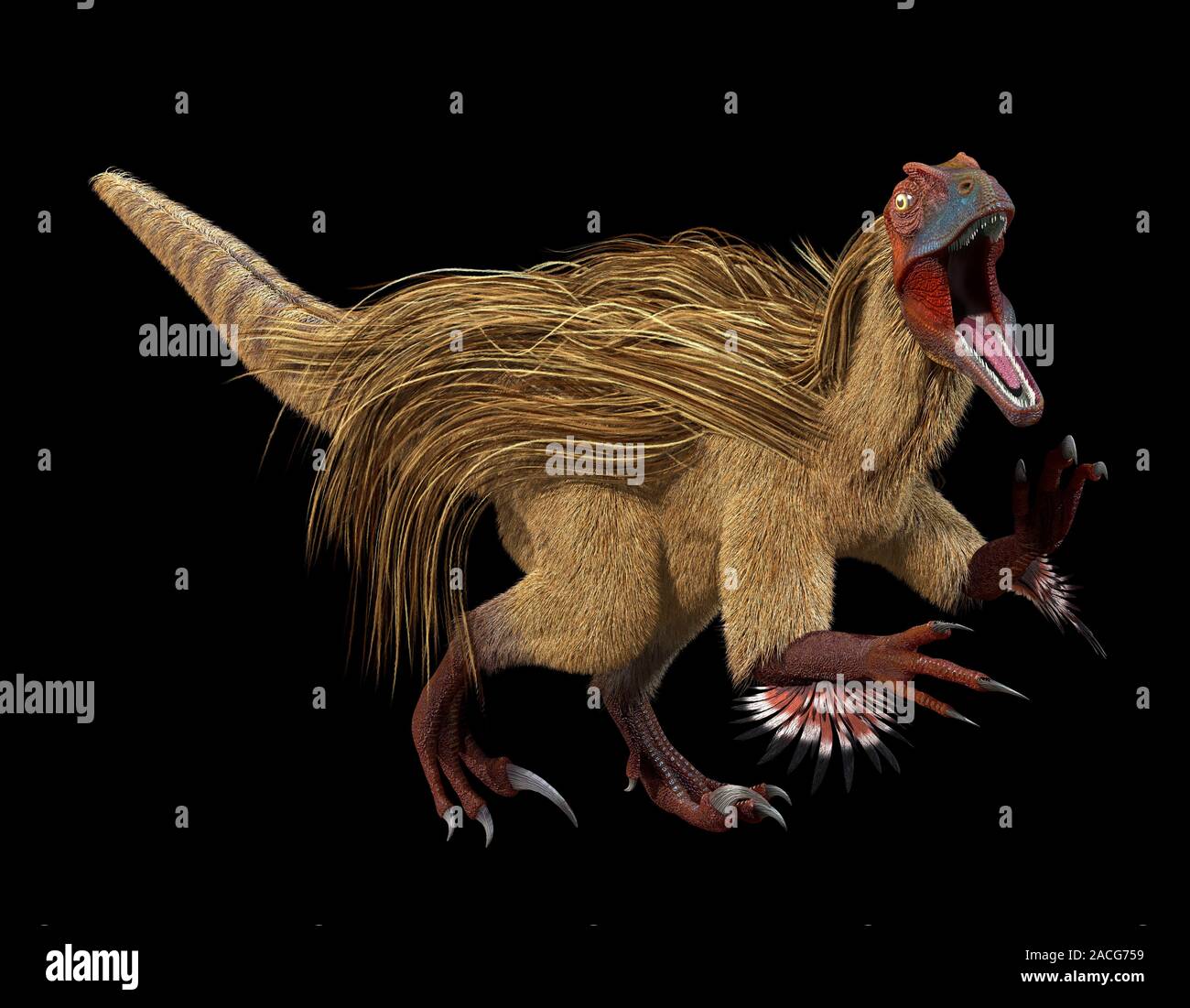 Utahraptor Ostrommaysorum Utahraptor Pictures & Facts The Dinosaur