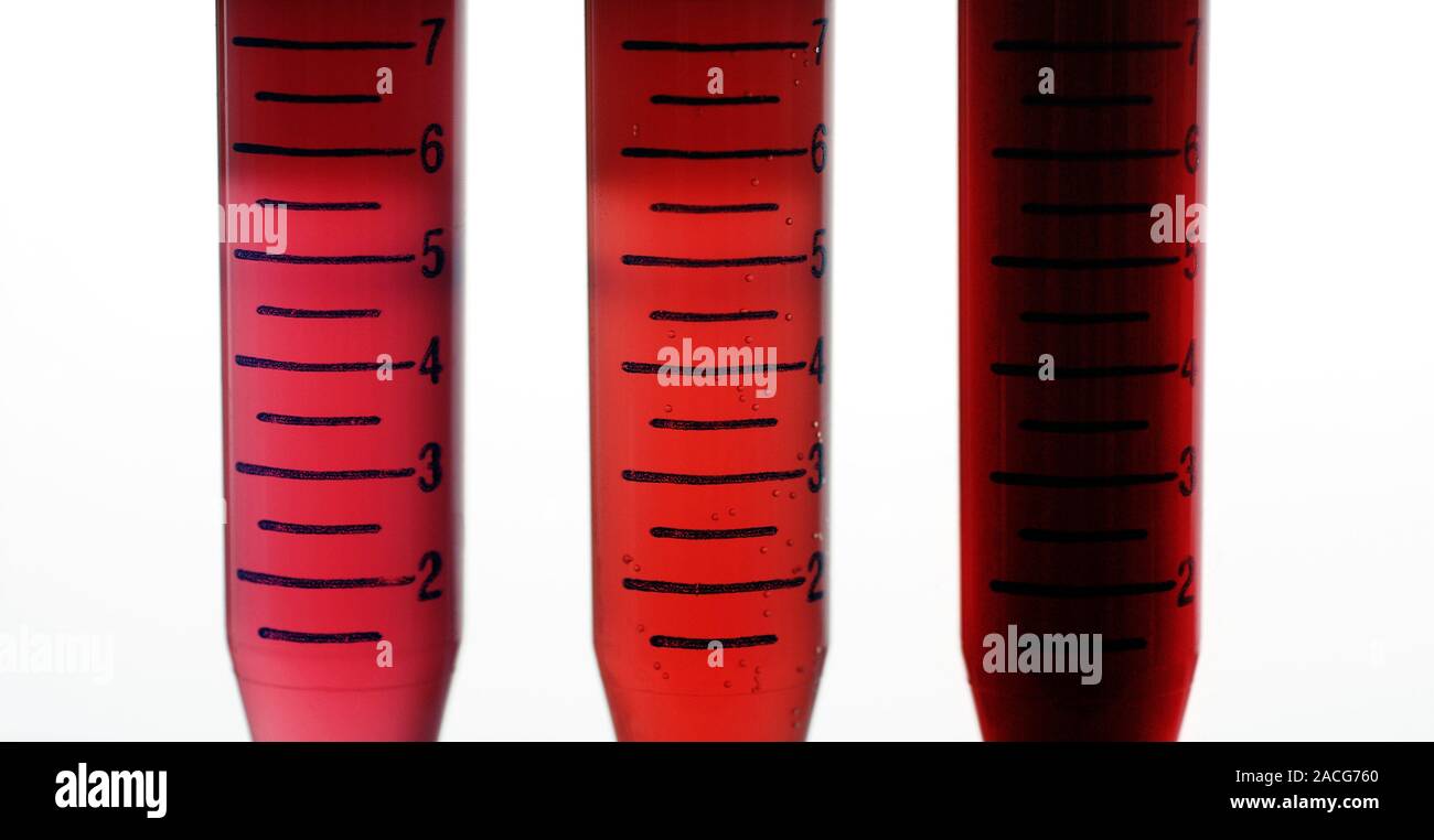 Blood cell manufacturing. Test tubes containing red blood cells ...
