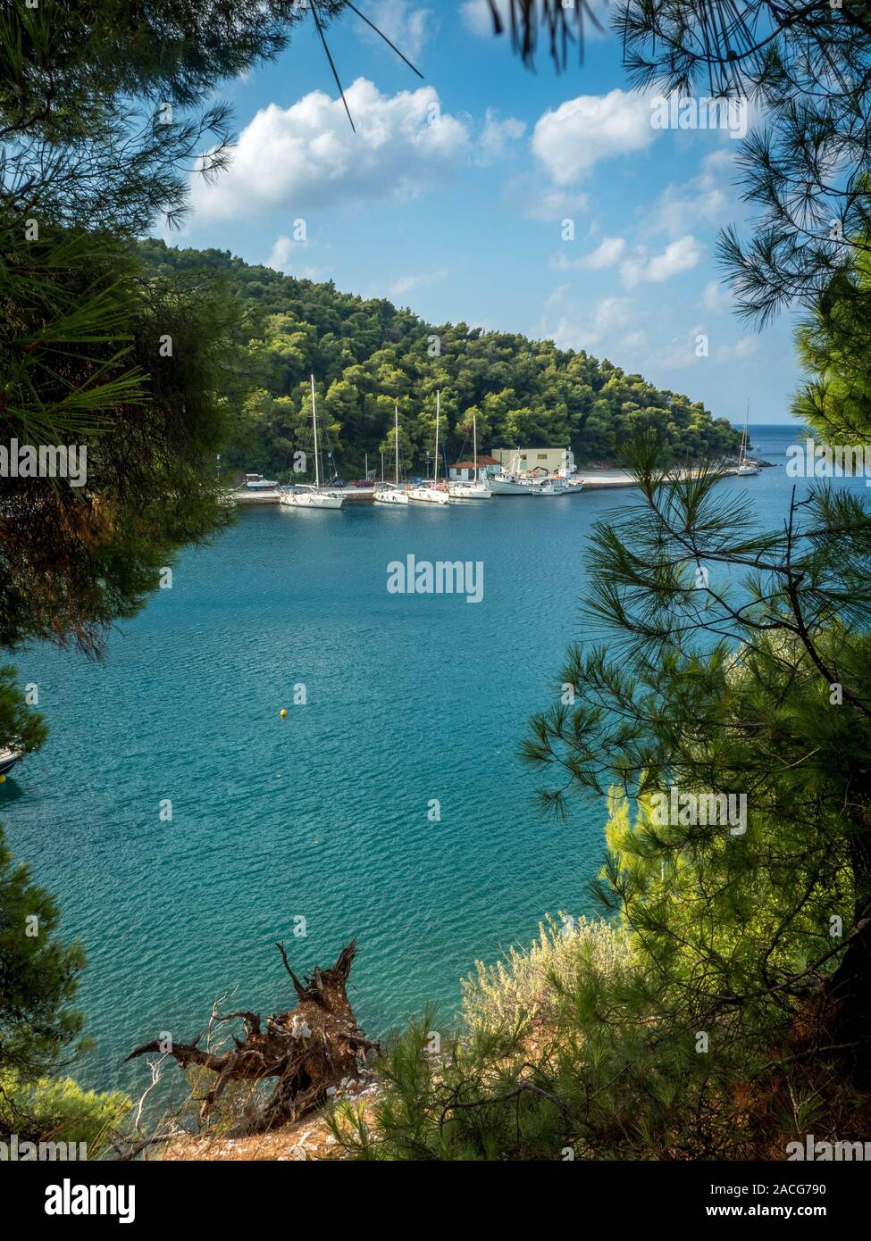 Boats moored along waterfront, Stafylos, Skopelos, Greece Stock Photo ...