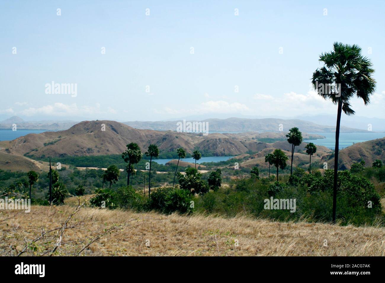 Rinca Island. View from the summit of Rinca Island, Indonesia. Rinca is ...