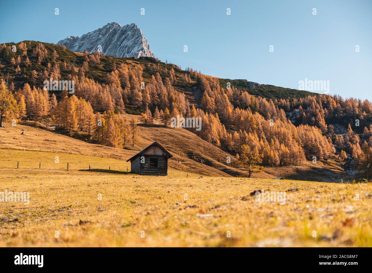 Wooden cabin in the alps hi-res stock photography and images - Alamy