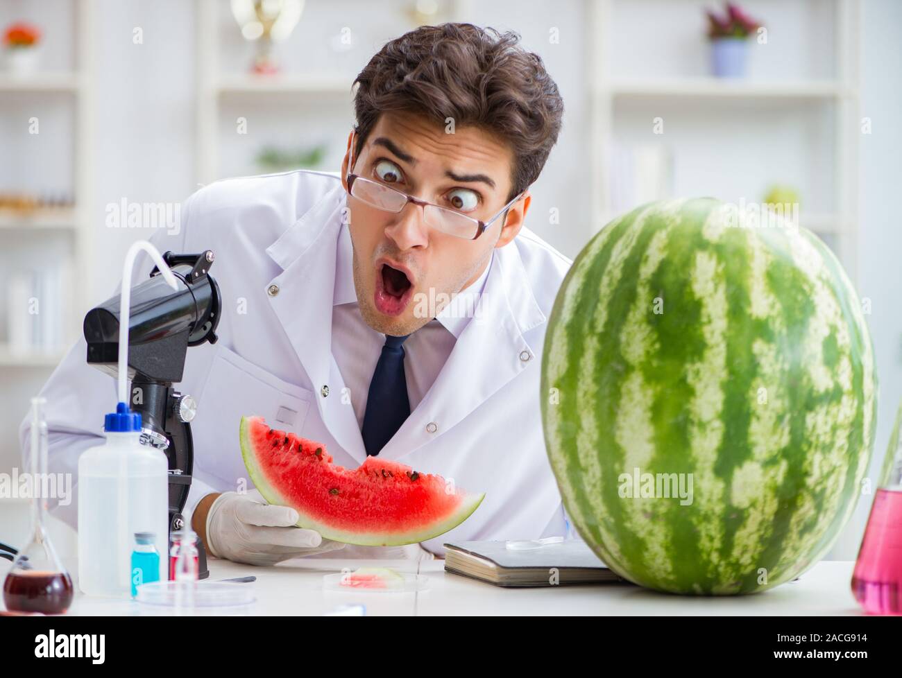 The scientist testing watermelon in lab Stock Photo - Alamy