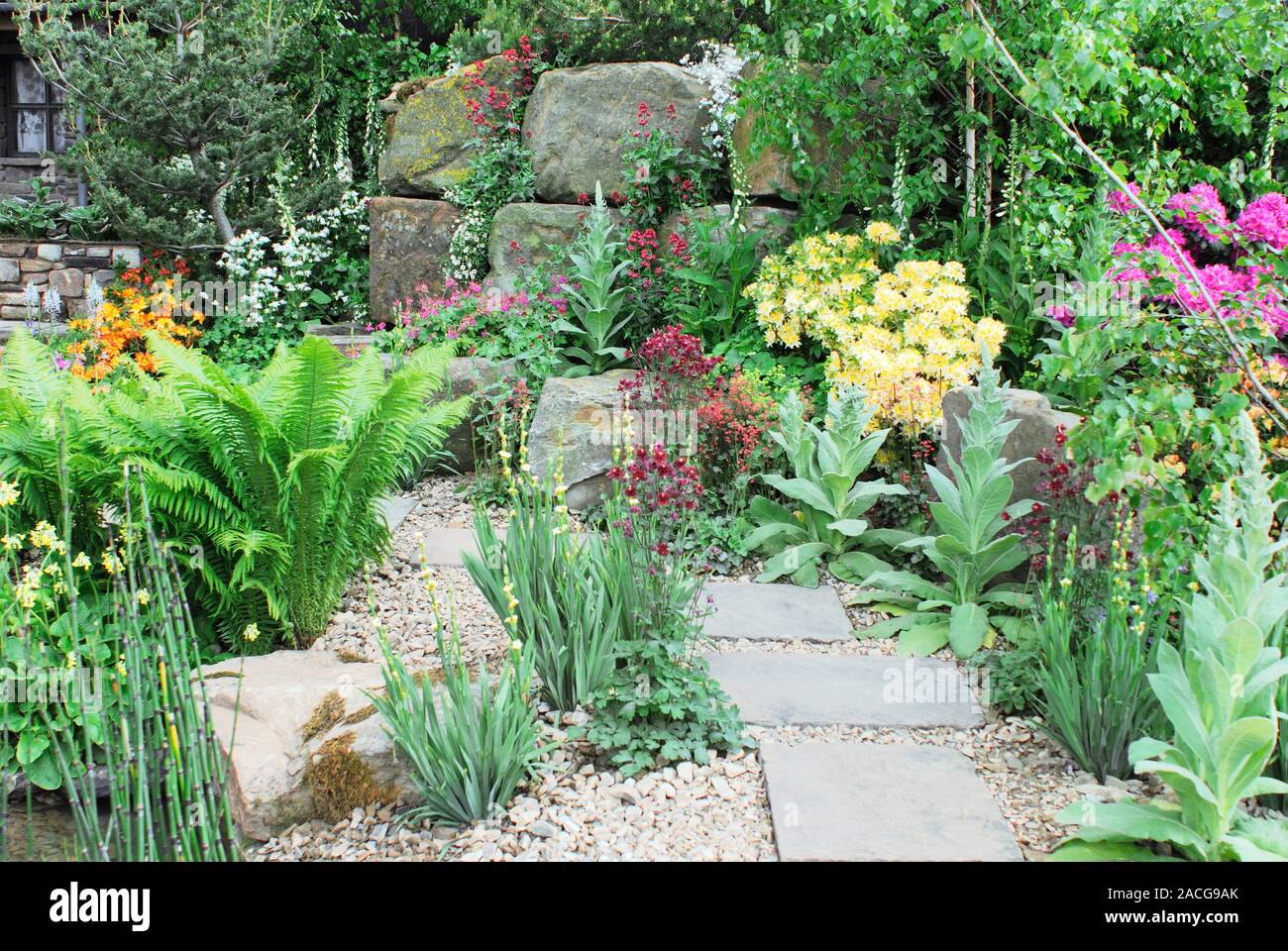 A pathway through a rock garden with mixed planting. Photographed at ...