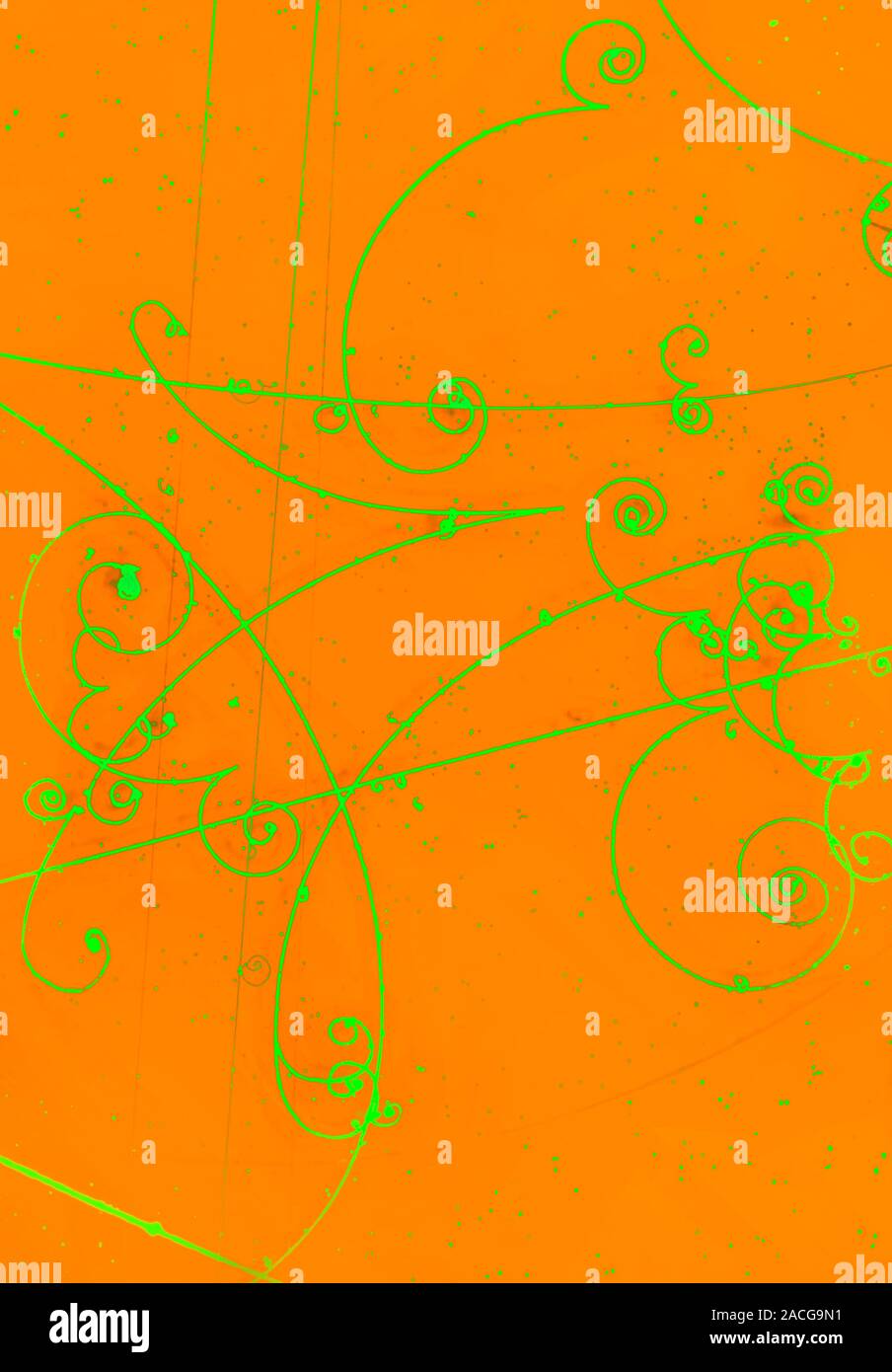 Tracks of electrons and positrons. These tracks show part of a shower ...