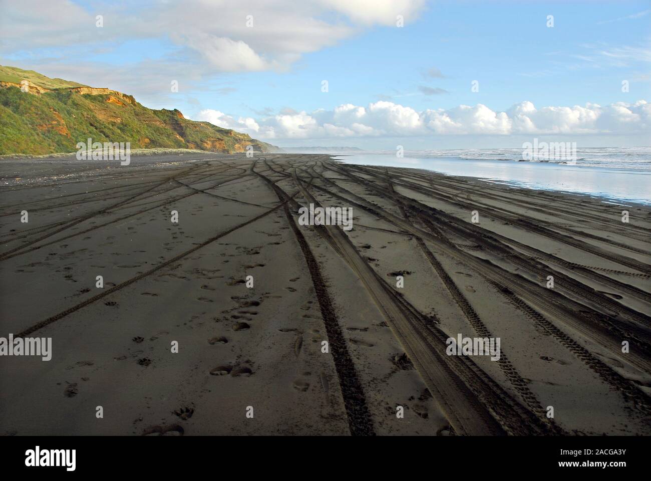 Black sand beach. Tracks made by vehicles on a black sand beach. Photographed in New Zealand ...