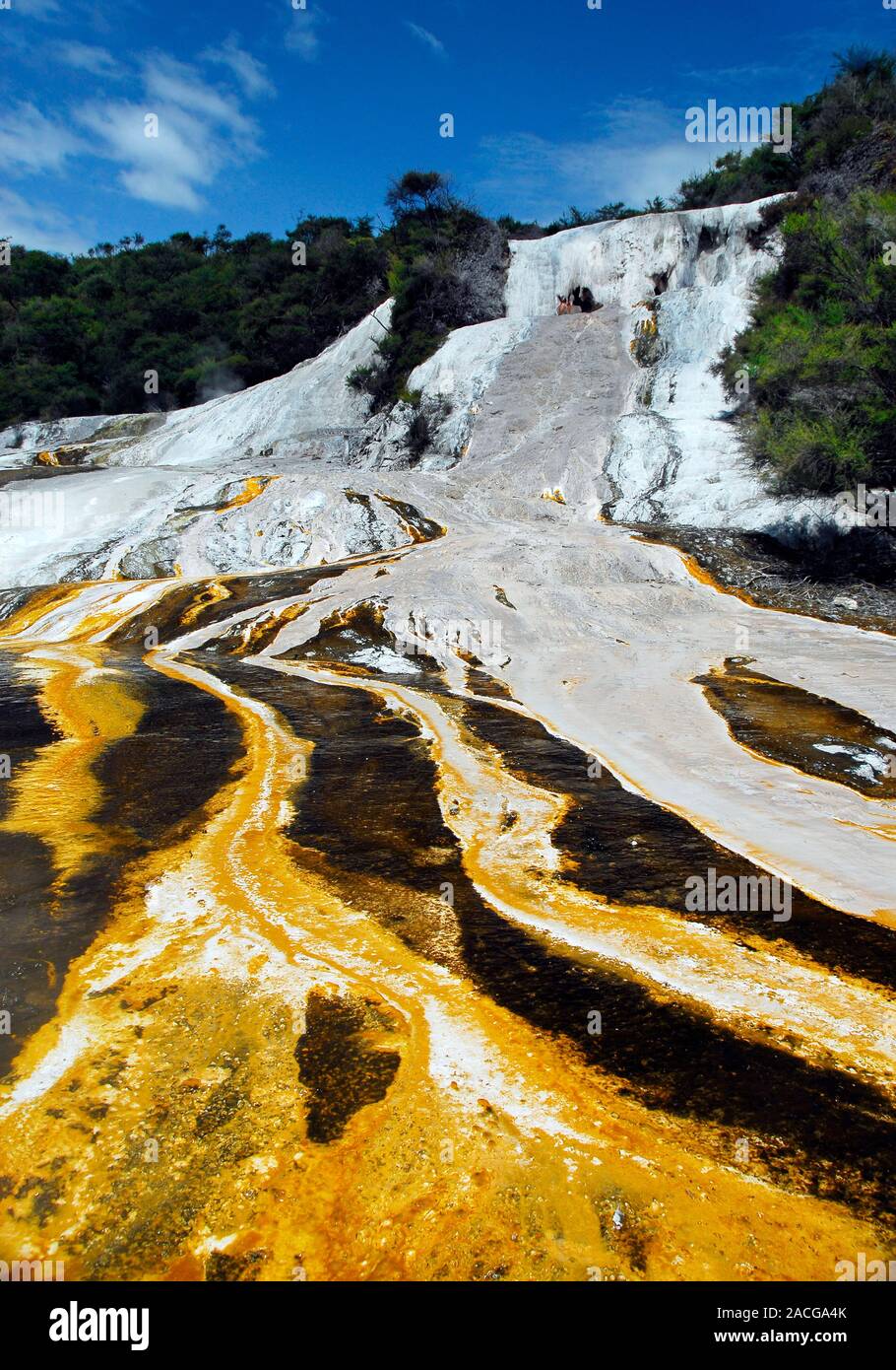 Geothermal springs. Geothermal springs form in areas where volcanic ...