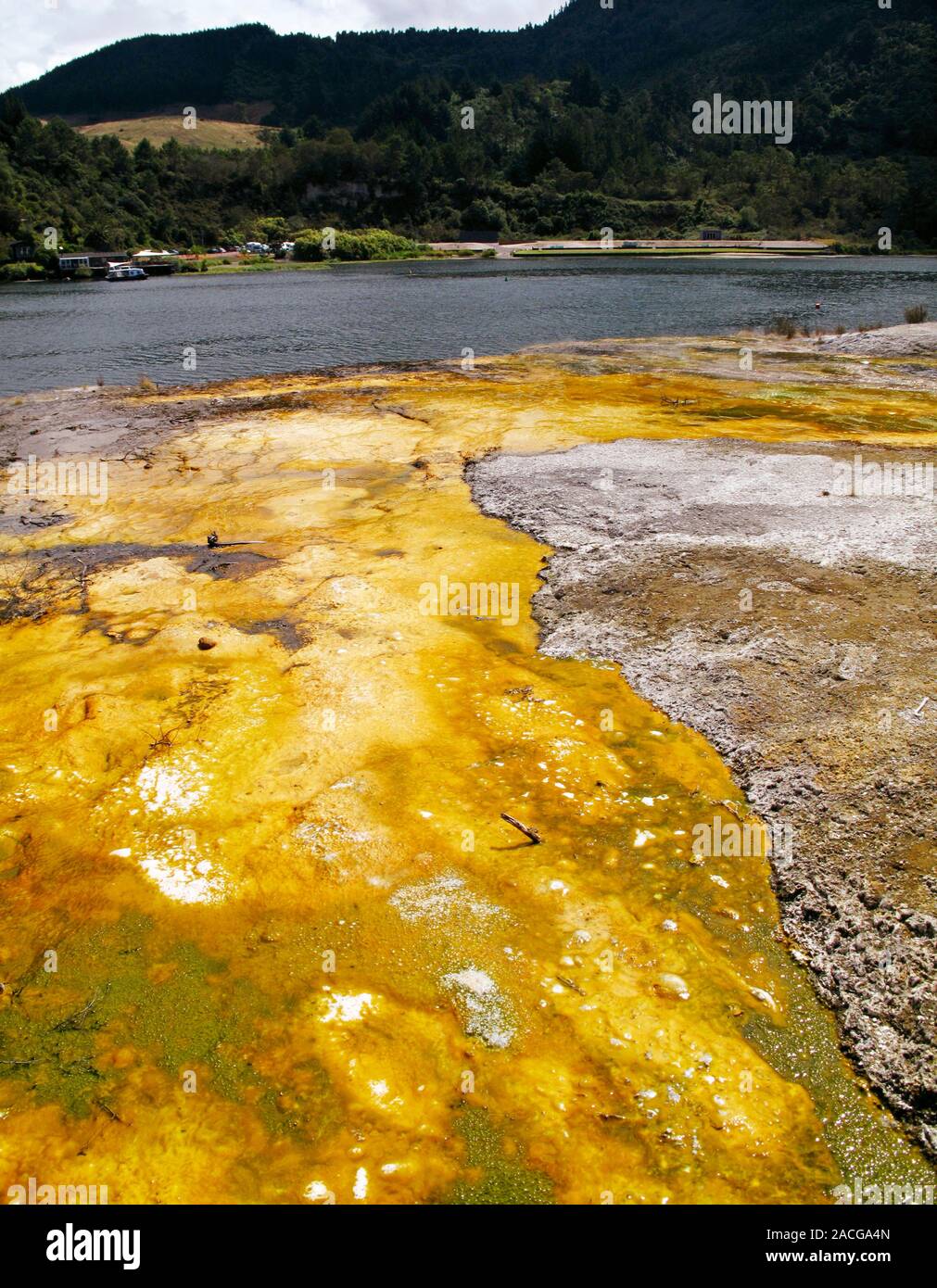 Geothermal pool. Geothermal pools form in areas where volcanic activity ...