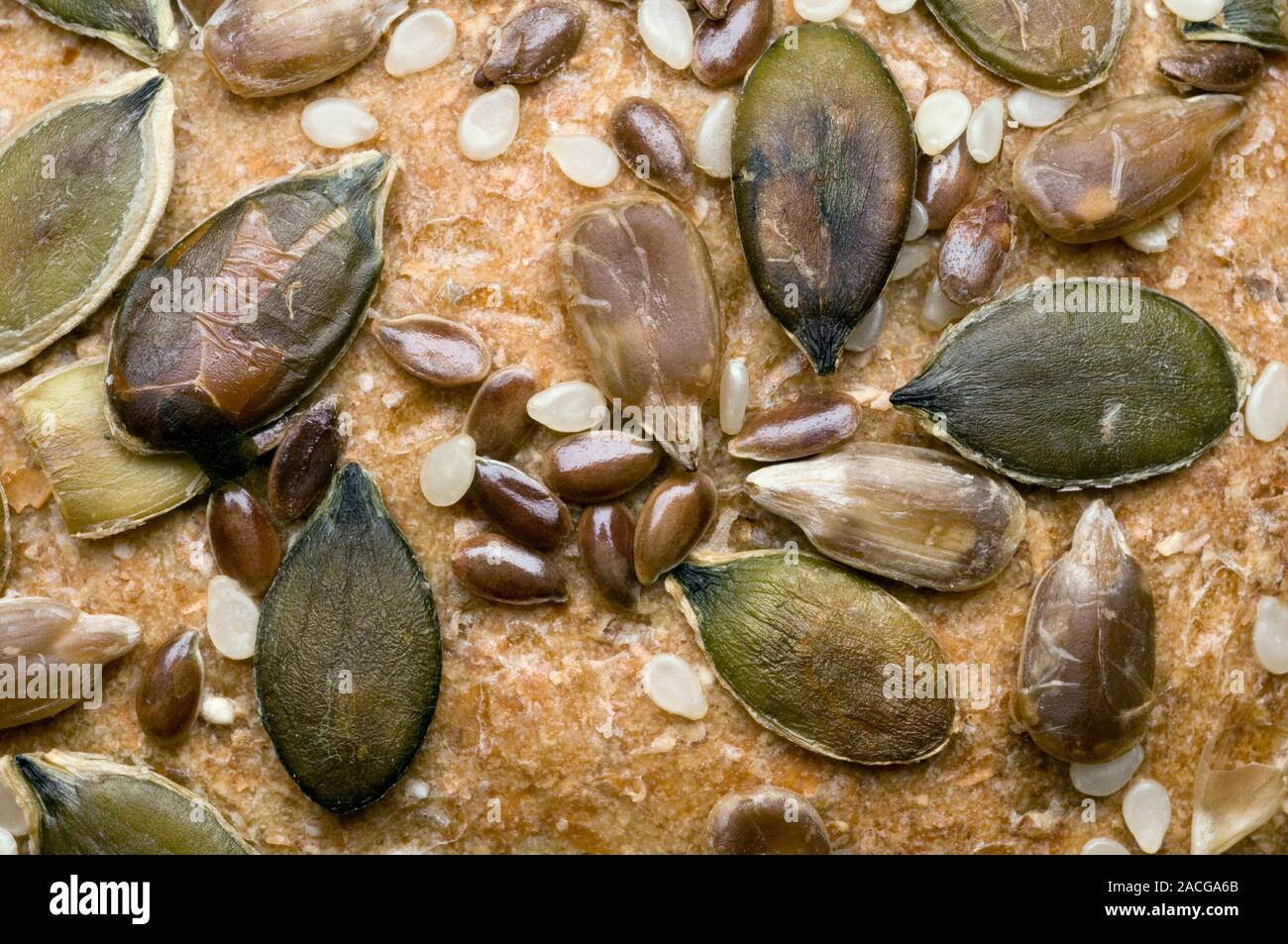 Edible seeds. The large seeds are from pumpkins (Cucurbita pepo Stock ...