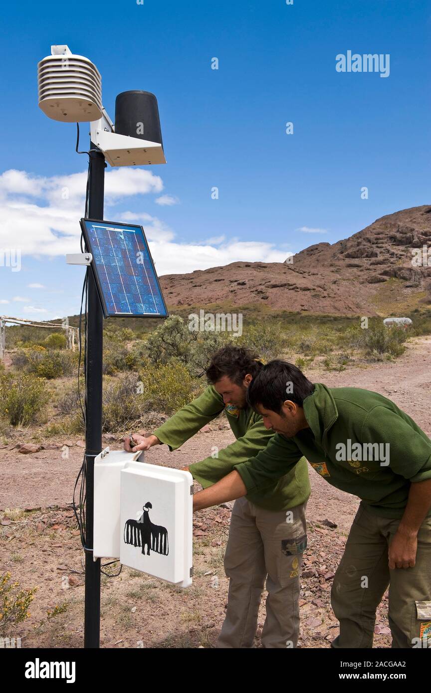 Andean Condor Conservation Project. Researchers checking a weather ...