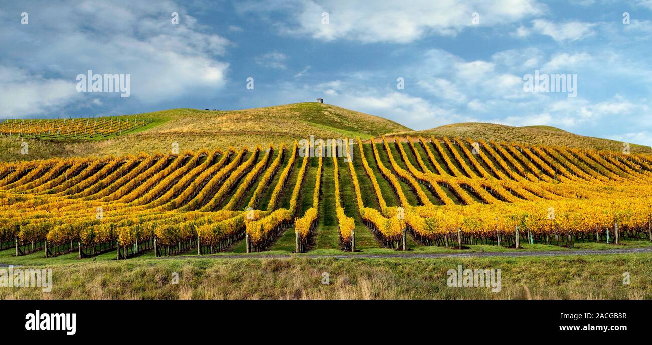 Crop farming new zealand hi-res stock photography and images - Alamy